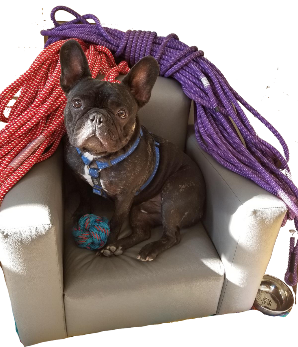 Hanks short ropes – NuGreen Vancouver Arborist Supplies